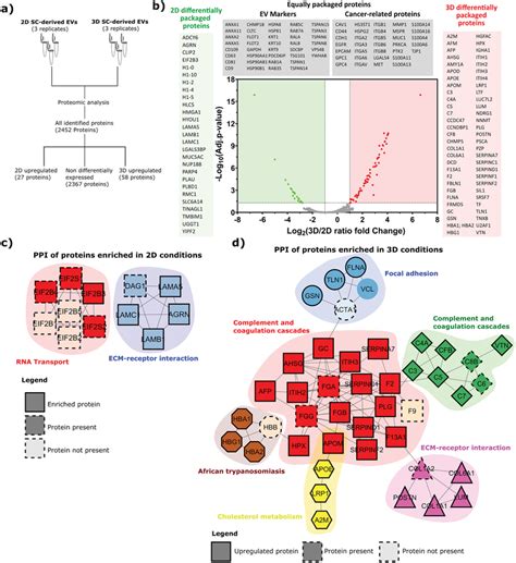 Proteomic And Pathway Analysis Of Proteins Identified From 2d Or 3d Download Scientific Diagram