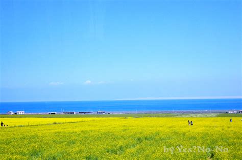 青海图 最美 第11页 大山谷图库