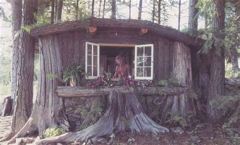 Tree Stump Home Fine Homebuilding