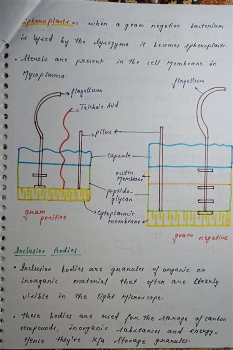 General Pharmacology MBBS Notes Handwritten Notes PDF