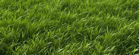 Premium Ai Image Weedy Lawn Grass Pattern