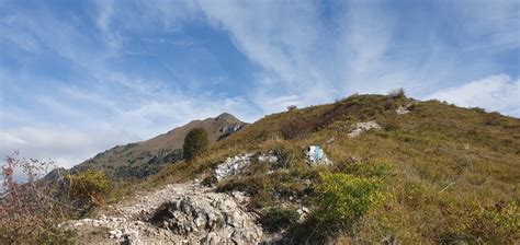 Trekking Da Sale Marasino Alla Punta Almana Visit Lake Iseo Portale Ufficiale Turismo Lago D Iseo
