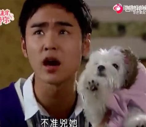 Fated To Love You Ethan Ruan