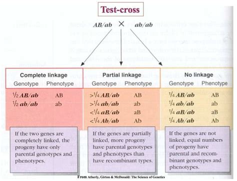 Best 12 Affinity Chromatography Yongting Wang Jan07 What Is Ac Affinity Chromatography Ac Is