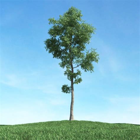 Archmodels Vol 117 3d Models