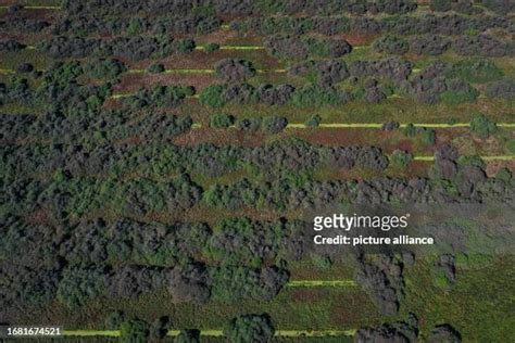 Rewetting Photos And Premium High Res Pictures Getty Images