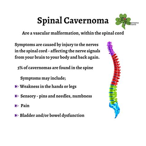 Cavernoma Ireland On Linkedin Cavernomaawarenessmonth Hopeforacure Stopcavernoma