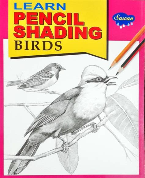Learn Pencil Shading Birds Books And You