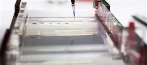 How To Calculate E Cell Heuristic