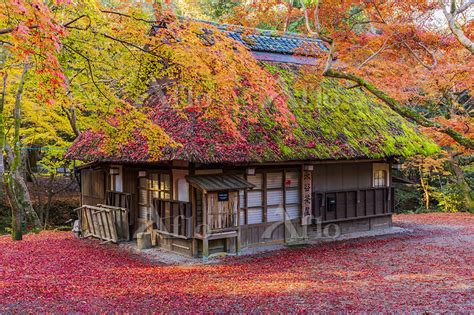 奈良県 紅葉の奈良公園 水谷茶屋 125806915 の写真素材 アフロ