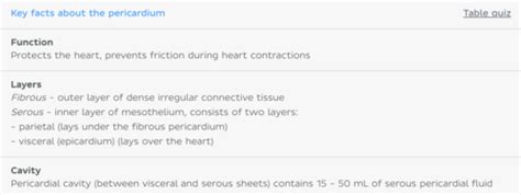 4 Cardiac Wall Endocardium Myocardium Epicardium Structure