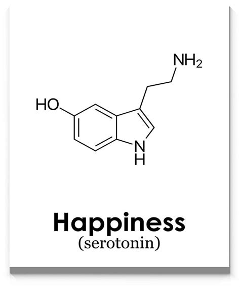 Happiness Serotonin Molecule Wall Art 11x14 Unframed Art Print Poster