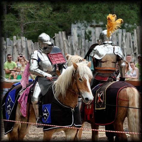 148 Best Medieval Jousting Images On Pinterest Middle Ages Medieval