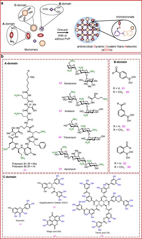 Dynamic Covalent Nano Networks Comprising Antibiotics And Polyphenols