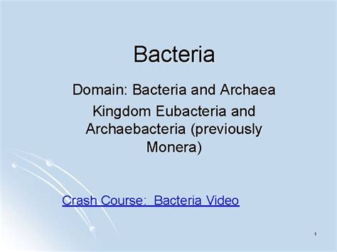 Bacteria Domain Bacteria And Archaea Kingdom Eubacteria And