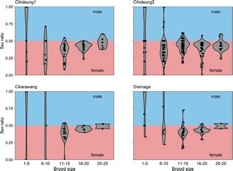 Relationship Between Brood Size And Sex Ratio Of Apanteles Taragamae In