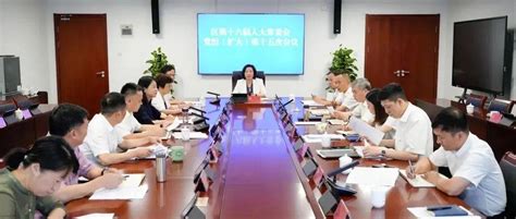 区人大常委会党组学习贯彻市委、区委全会精神工作阮文静会议
