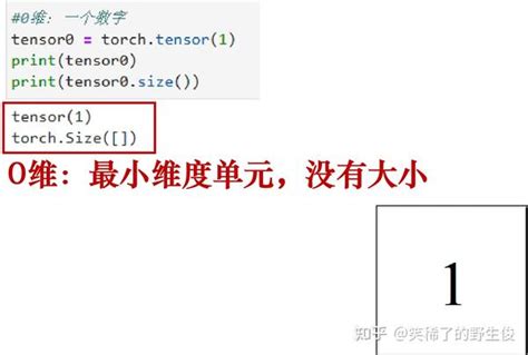 【torch笔记】图解tensor张量维度 知乎