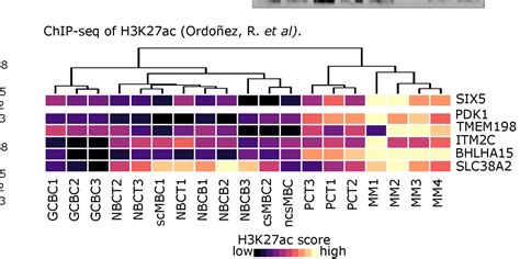 Chip Seq H3k27ac Score Histone Modification Heatmap Immunity 2025