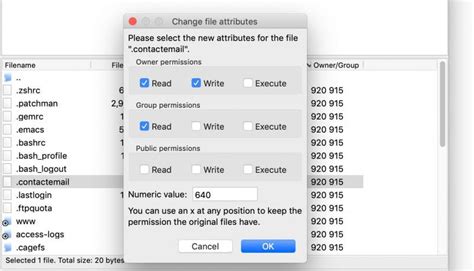550 Permission Denied Filezilla Ubuntu Server Swimmeva