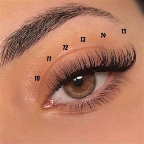 Wispy Lash Mapping 😍 In 2024 Perfect Eyelashes Lashes Fake Eyelashes