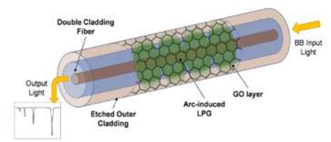 Schematic Diagram Of Lpg In Dcf Coated With Go Download Scientific