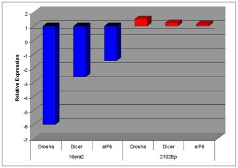 The Expression Levels Of The Mirna Biosynthesis Genes Drosha Dicer And