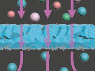Lithium Ion Extraction Chemistryviews