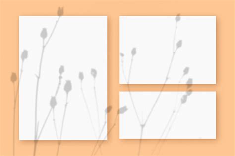 주황색 테이블 배경에 질감이 있는 백서 3장에 식물 그림자가 겹쳐진 모형 배경 주제에 대한 스톡 벡터 아트 및 기타 이미지 배경 주제 책자 콘크리트 Istock