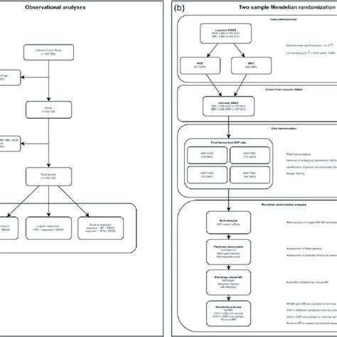 Flowchart Of Observational Panel A And 2 Sample Mendelian