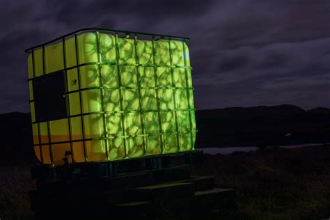 Jamie Wardrop Cell Royal Scottish Academy