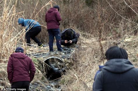 Meteorite Fever Grips South Korea Rare Shower Sparks Mass Hunt For Treasures That Could Be