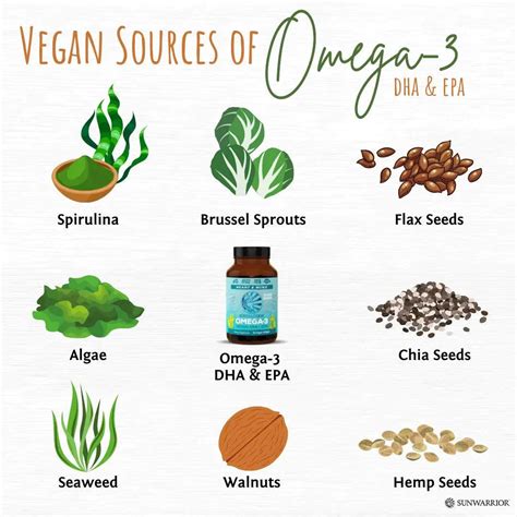 Algal Oil A Plant Based Source Of Dha