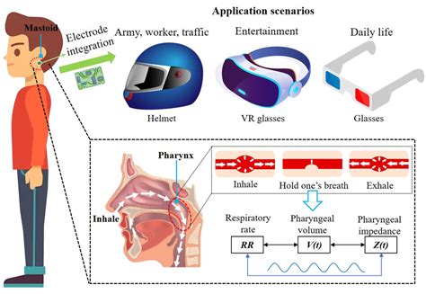 Head Mounted Respiratory Monitoring Scheme Download Scientific Diagram