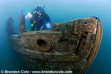 Artificial Reef Photos Shipwrecks Pier Pilings High Resolution Stock