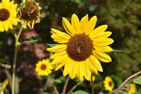 Richard Gump Devaney Added A New Photo Richard Gump Devaney