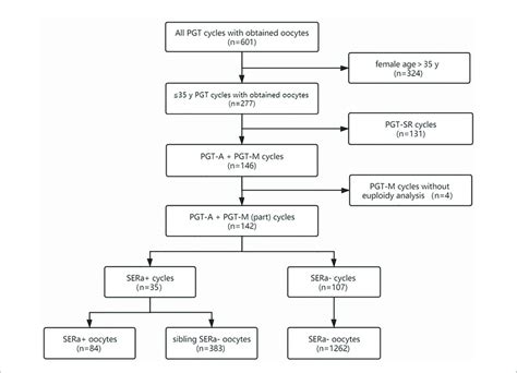 Flowchart Pgt Sr Pgt For Chromosomal Structural Rearrangements Download Scientific Diagram