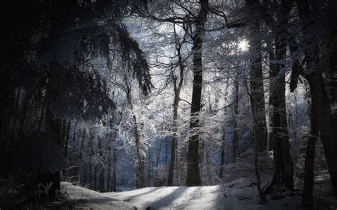 Cosmic Planetary Alignment Alert For Upcoming Conjuntion In