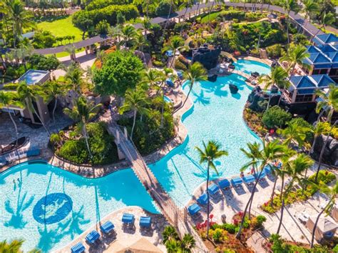 Please Vote 🤙😎🌈🌴 Simon Amos Llc