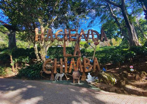 Hacienda La Chimba Costa Rica Café Caminatas Y Aventura Cerca De San José Sensational Escapes