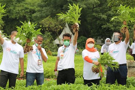 BPS Ekspor Pertanian Tumbuh Positif Persen YoY Republika Online