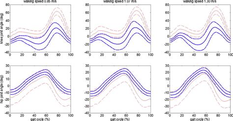 The Average Knee And Hip Joint Angles Over A Gait Cycle Across All The