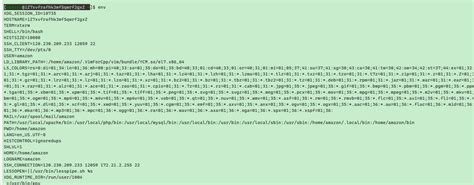 linux环境变量 linux查看环境变量 csdn博客