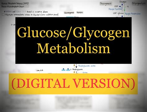 Mcat Glycolysis Diagram With Structures Glycolysis Fundamen