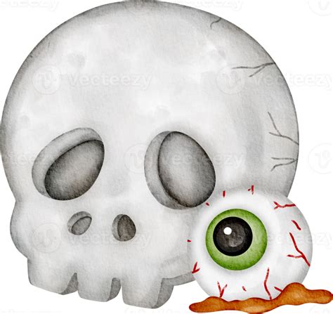 Watercolor Skull Clip Art 36907780 Png