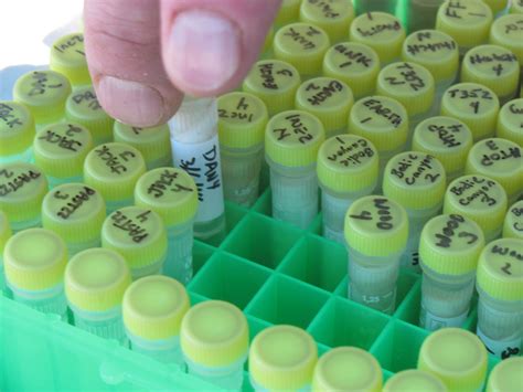 LAB ANALYSIS EDNA RESOURCES