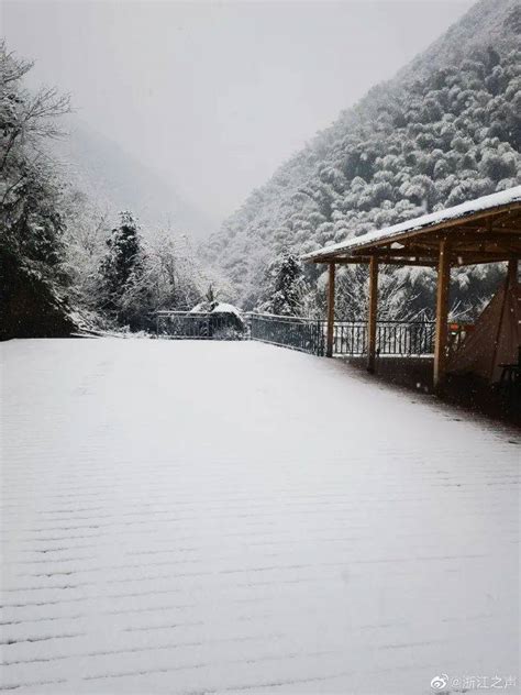 浙江多地飘雪2023年第一股冷空气在路上了 阴有小雨 杭州 雪花
