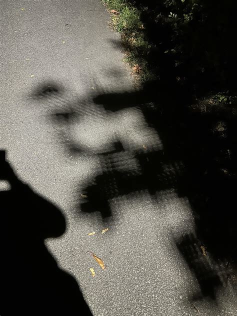 Yesterday I Discovered A Bug In The Simulation Rwtf