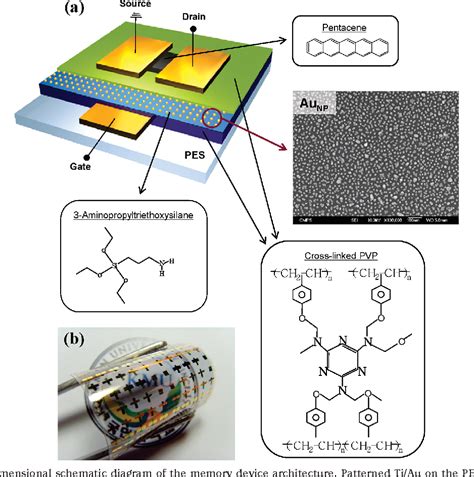 Figure 1 From Flexible Organic Transistor Memory Devices Semantic Scholar