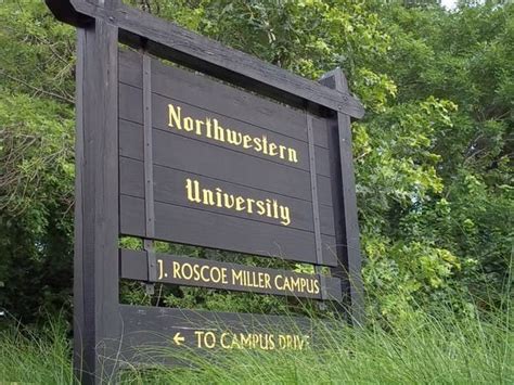 Professor Defends Sex Toy Demonstration Evanston Il Patch
